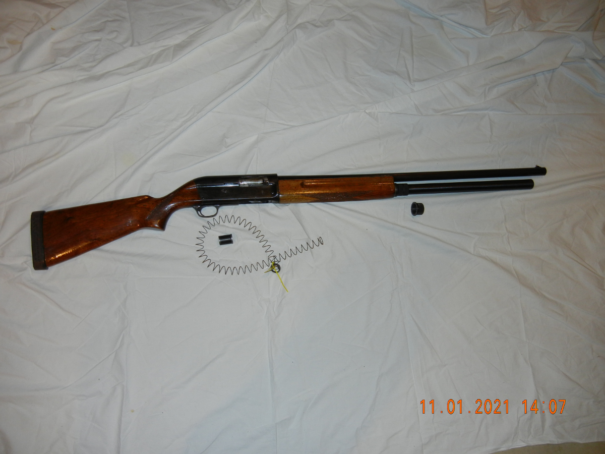Savage 755 12 GA 17201469 - GunAuction.com