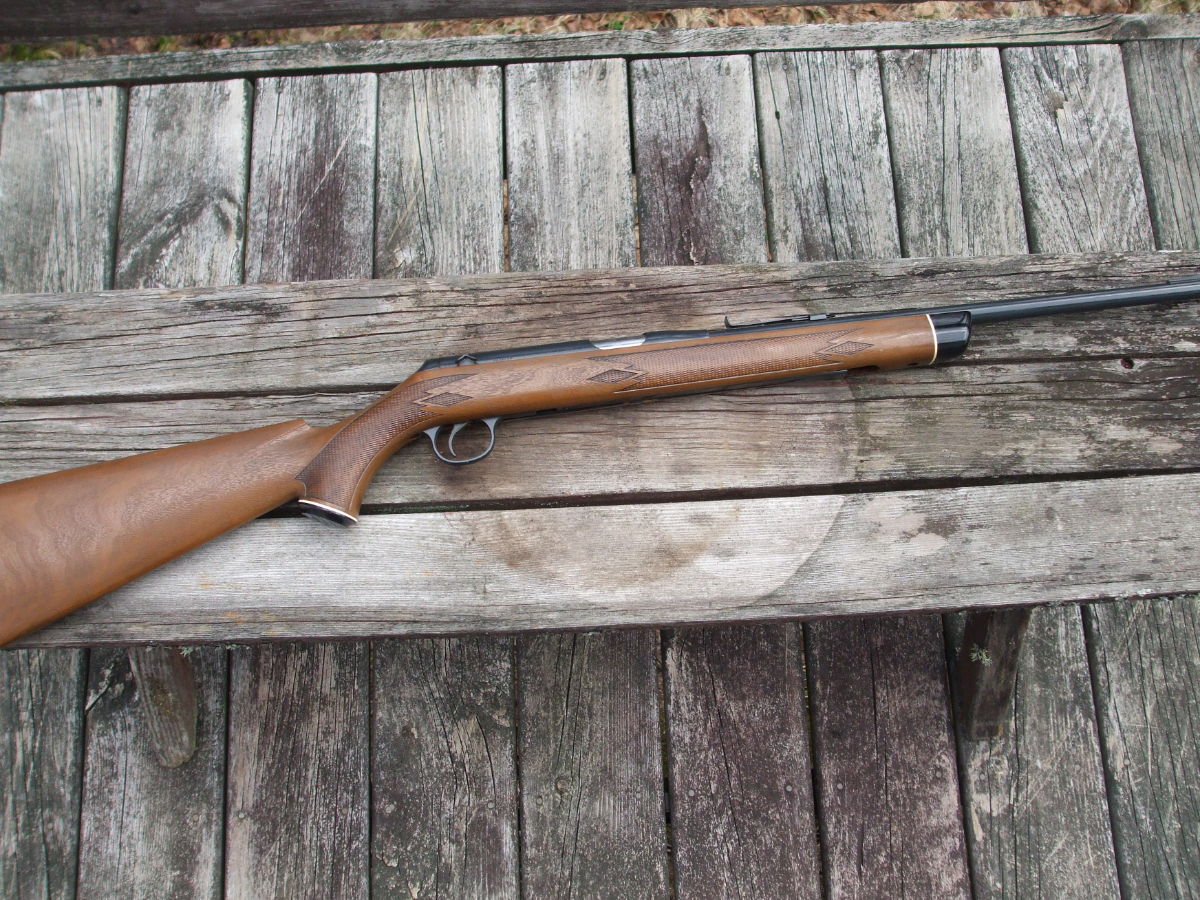 Daisy V/L rifle .22 LR 17282559 - GunAuction.com