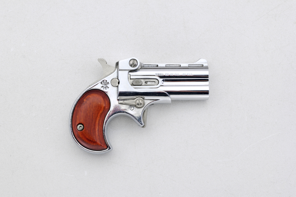 Davis Industries DM-22 DERRINGER CALIBER 22 MAGNUM .22 Magnum 17346299 ...