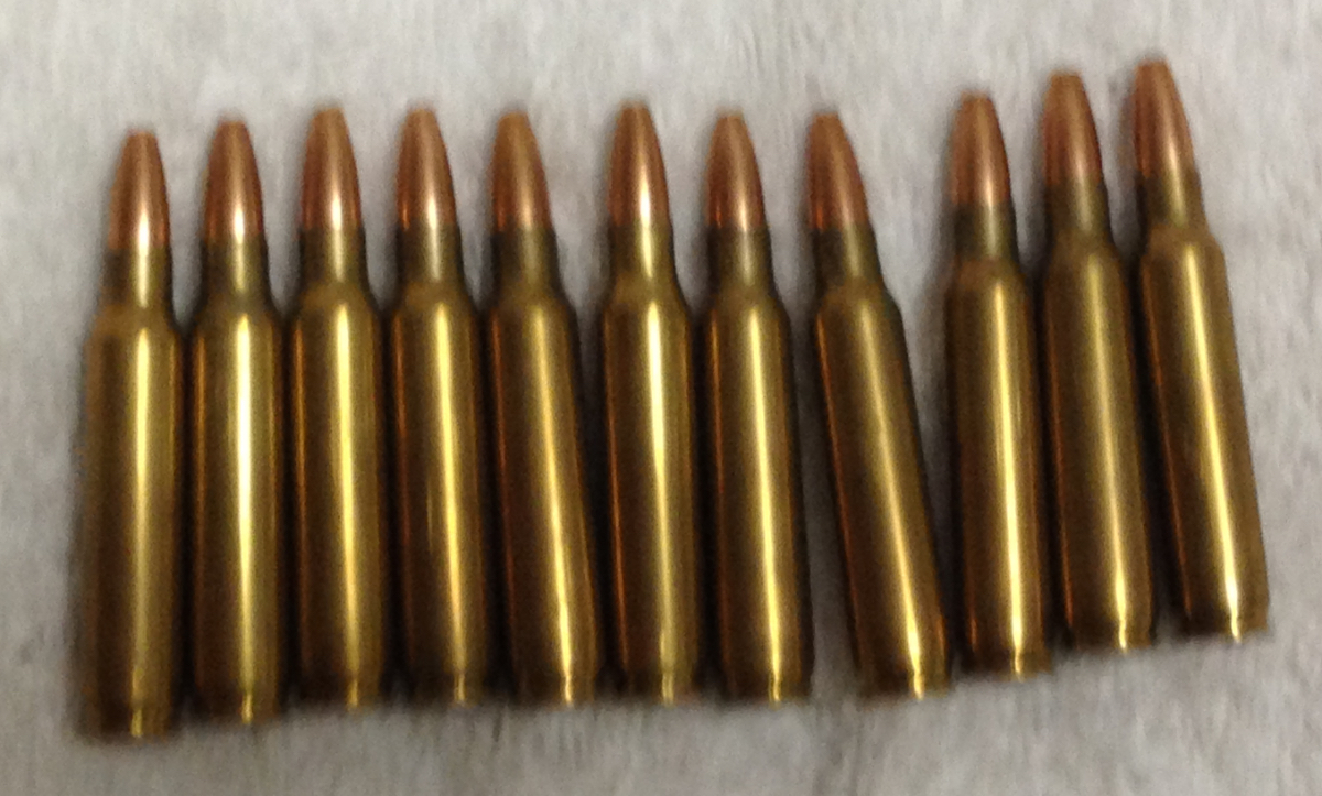 Federal Cartridge Corporation .223 REM. AMMUNITION AMMO 52 GRAIN HOLLOW ...