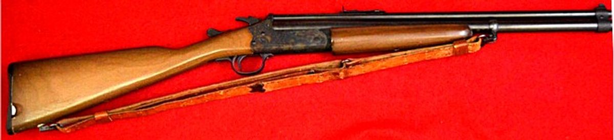 Savage Model 24C CAMPERS COMPANION .22 LR over 20 GA 2 3/4 17278981 ...