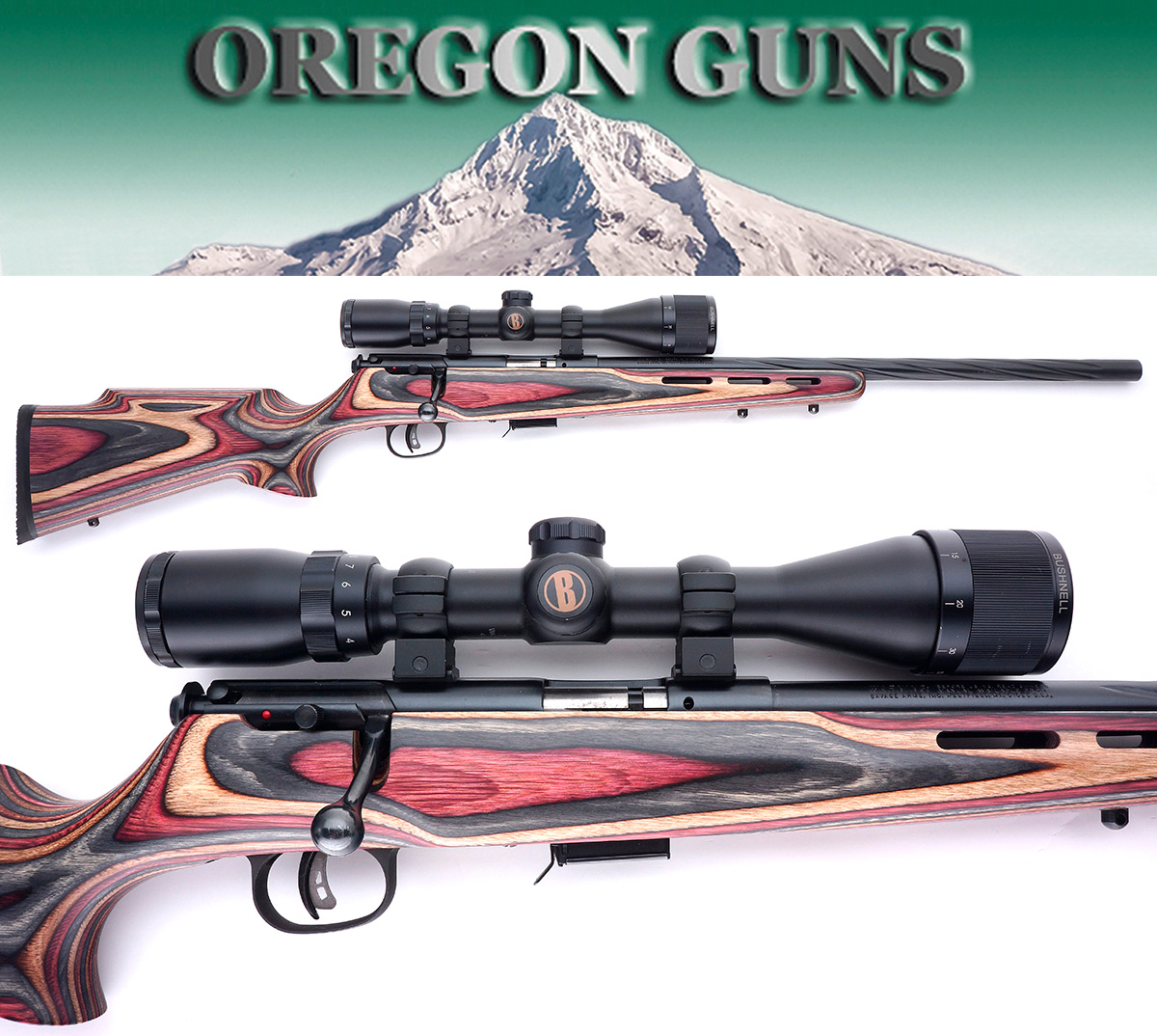 Savage MODEL 93 BRJ BOLT RIFLE .22 MAG LAMINATED STOCK WITH SCOPE SN ...