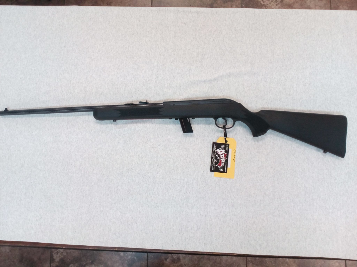Savage 64F .22LR w/ one 10-round mag & black synthetic stock (C3554-21 ...