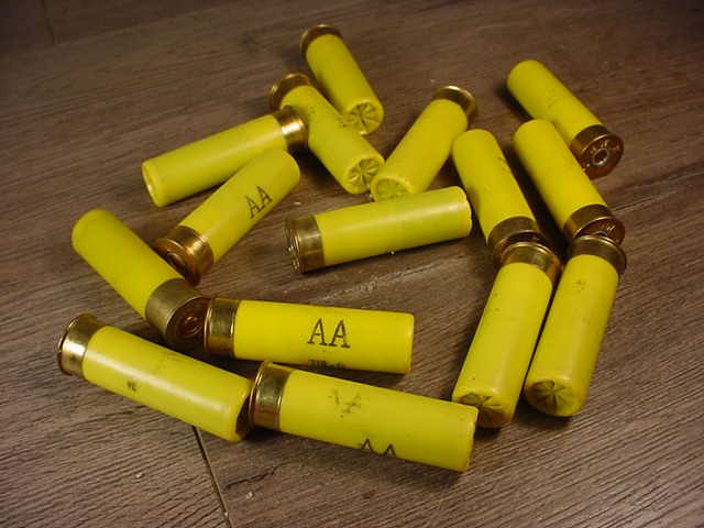 14 Rounds of Winchester AA 20 Gauge Number 9 Shot 17286131 - GunAuction.com