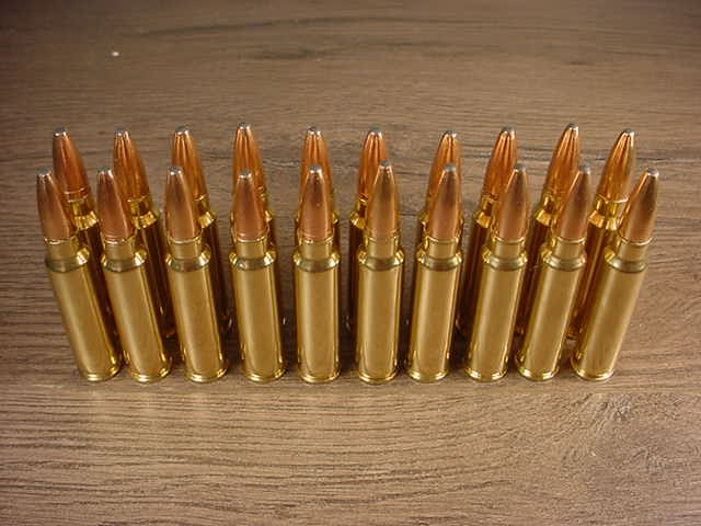 20 Rounds Remington .300 Savage Semi-Jacketed Soft Point 17333309 ...