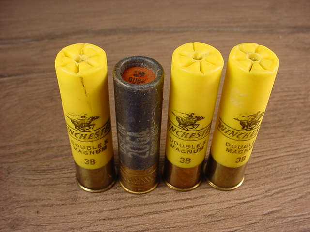 4 Rounds of Mixed Paper & Plastic 20 Gauge 3 Inch Number 3 Buckshot ...