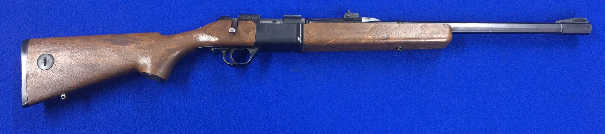 Daisy MODEL 2201, CHAMBERED IN .22 LR 17349992 - GunAuction.com