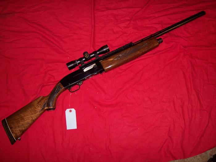 Sears Ted Williams Model 300 Semi Automatic Shotgun 20 Gauge, With ...