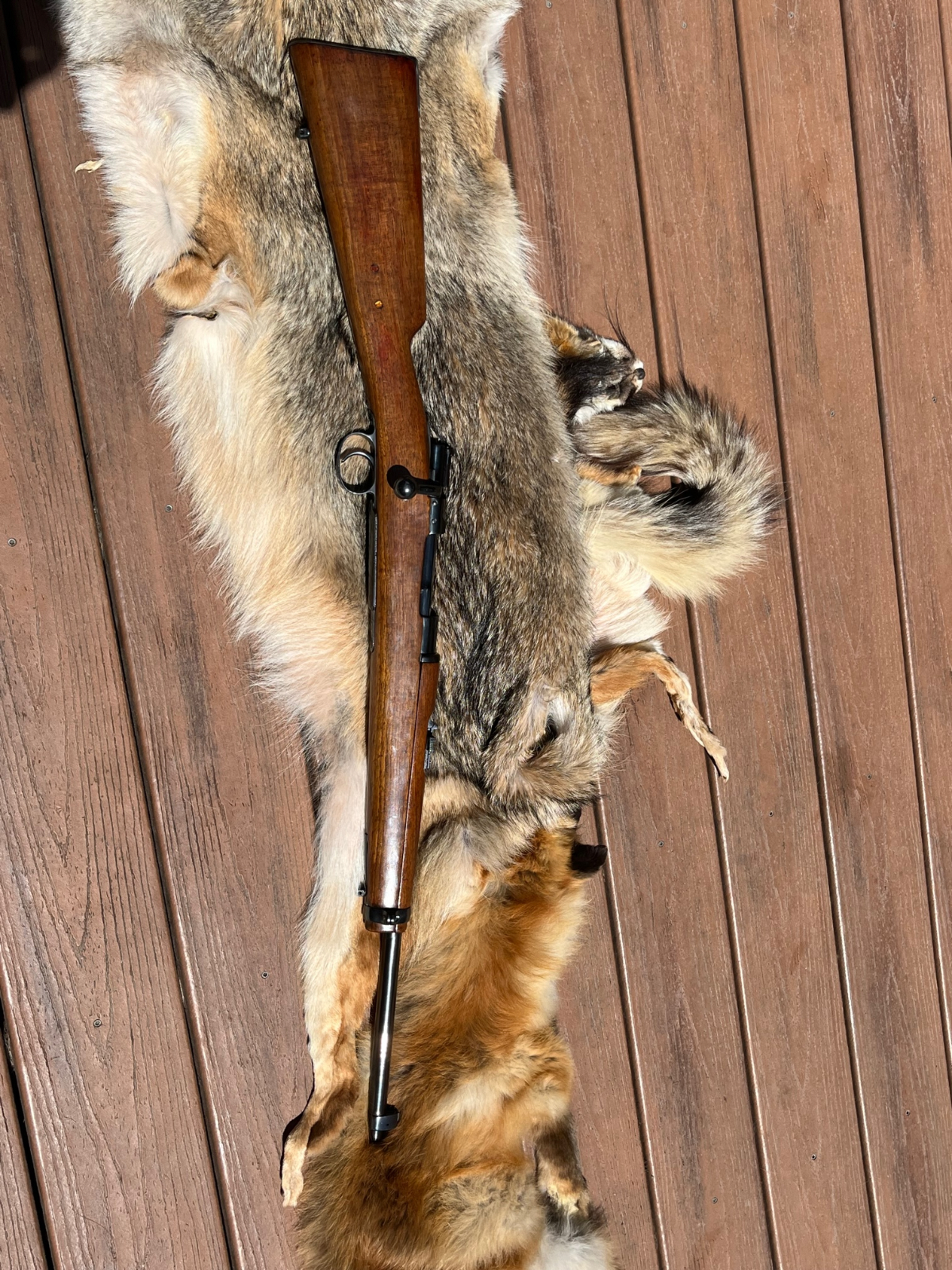 Mauser 95 in 7x57 carbine, action made in Berlin 7mm Mauser (7x57mm ...