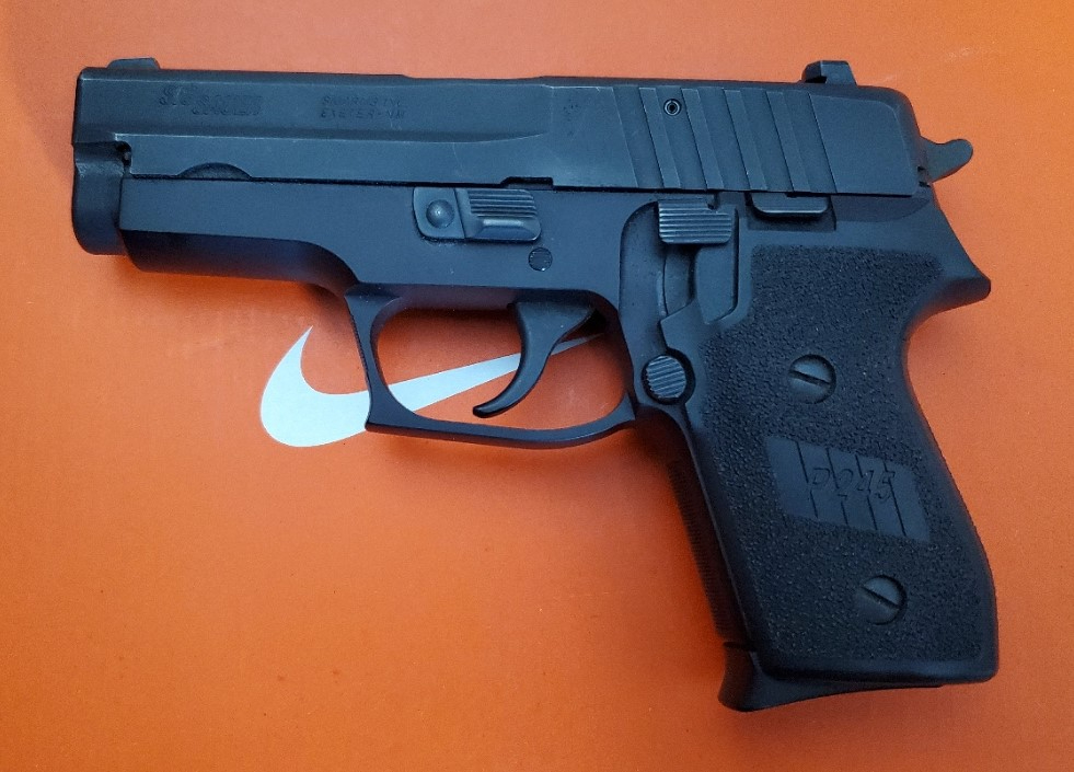 SIG Sauer Model P245 .45 ACP 17285752 - GunAuction.com
