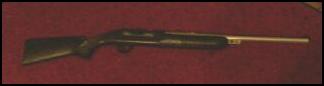 Daisy Quicksilver Bb/ Pellet Rifle For Sale at GunAuction.com - 6360621