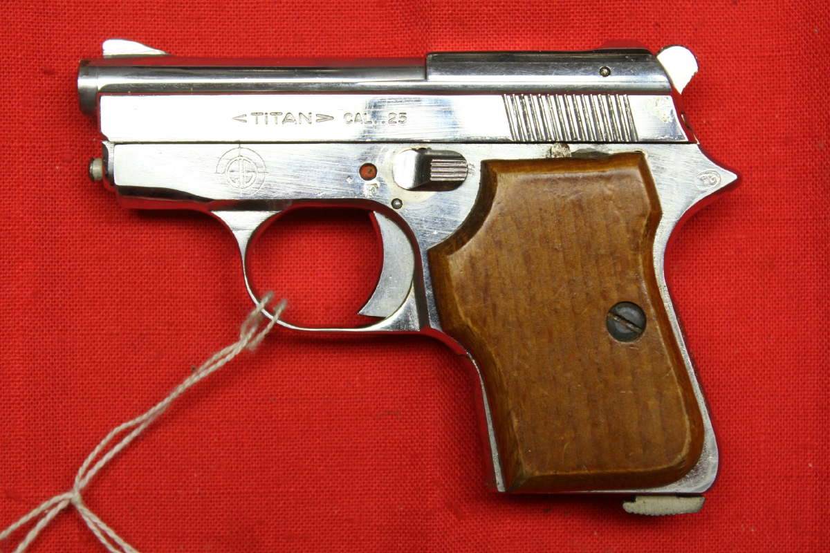 Eig Titan Chrome / Wood .25 Acp For Sale at GunAuction.com - 14886571