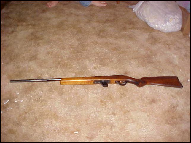 Sears, Roebuck & Co. Sears & Roebuck &Co. Model 6c 22lr Semi-Auto Rifle ...