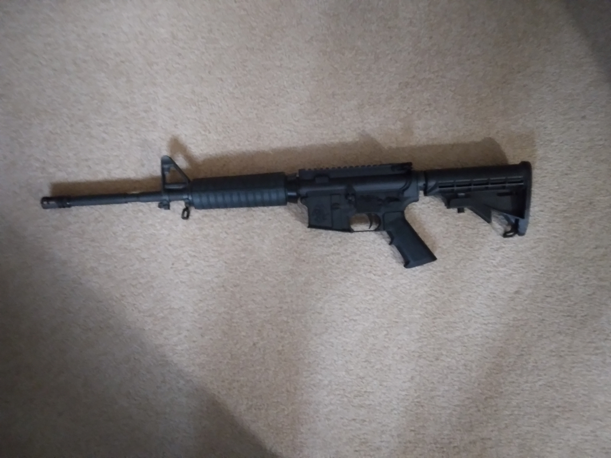 Del-Ton DELTON MODEL ECHO 316 NEW IN THE BOX 5.56mm NATO 17224662 ...