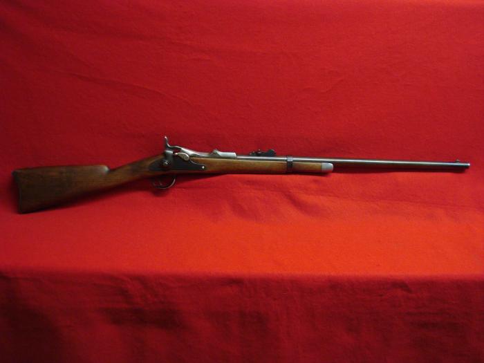 Springfield 50-70 Cal. Trap Door Sporter Carbine . For Sale at ...