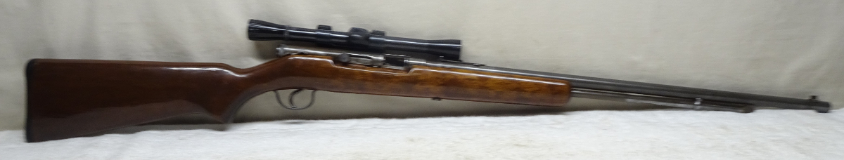 Savage Arms Company Model 6B semi auto .22 LR 17369788 - GunAuction.com