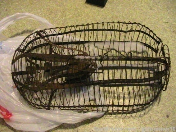 Vintage Metal Box Trap Squirrel, Chipmonk, Rat 14902075 - GunAuction.com