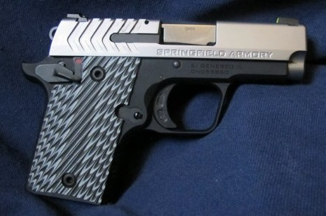 Springfield Armory Model 911 9mm Luger 17228132 - GunAuction.com