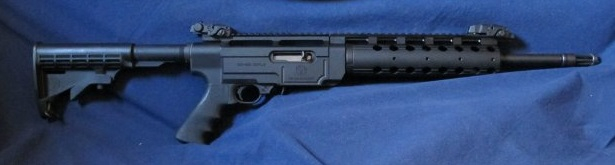 Ruger SR22 Rifle .22 LR 17264785 - GunAuction.com