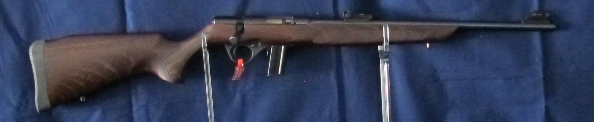 Rossi RB22 .22 LR 17352414 - GunAuction.com