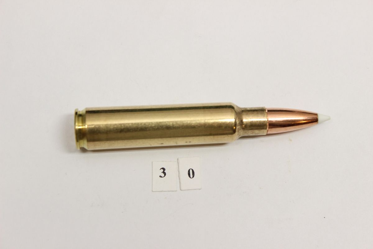 Single Shell Nosler .33 Nosler 225 grn AccuBond .25 ACP 14517736 ...