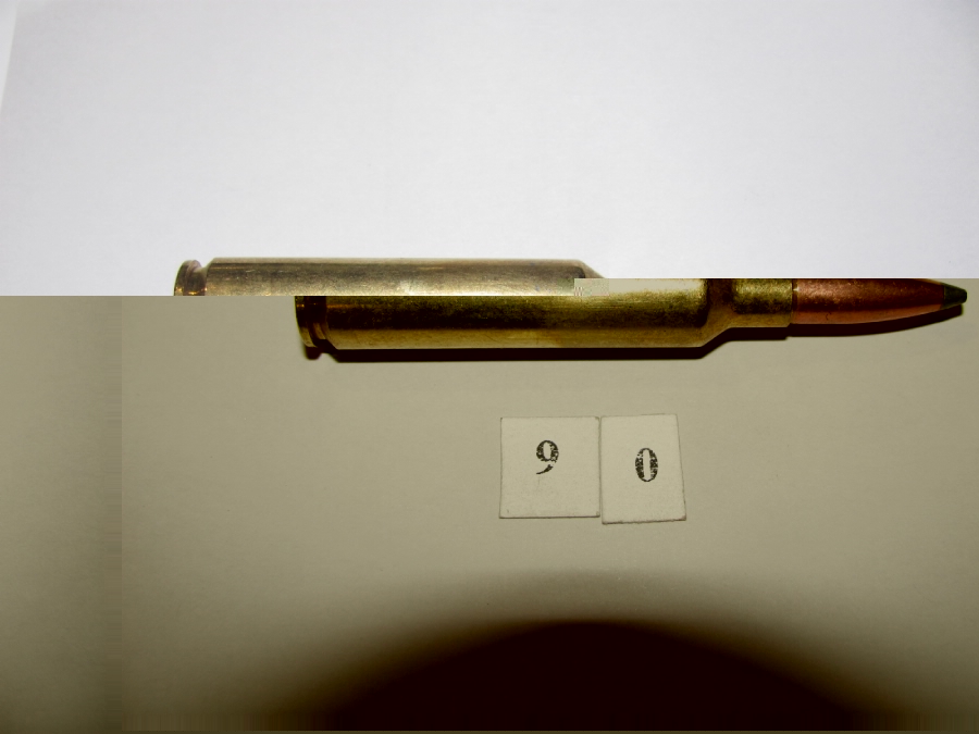 Single Shell Norma 6.5-284 6.5x284 .284 Win. For Sale at GunAuction.com ...