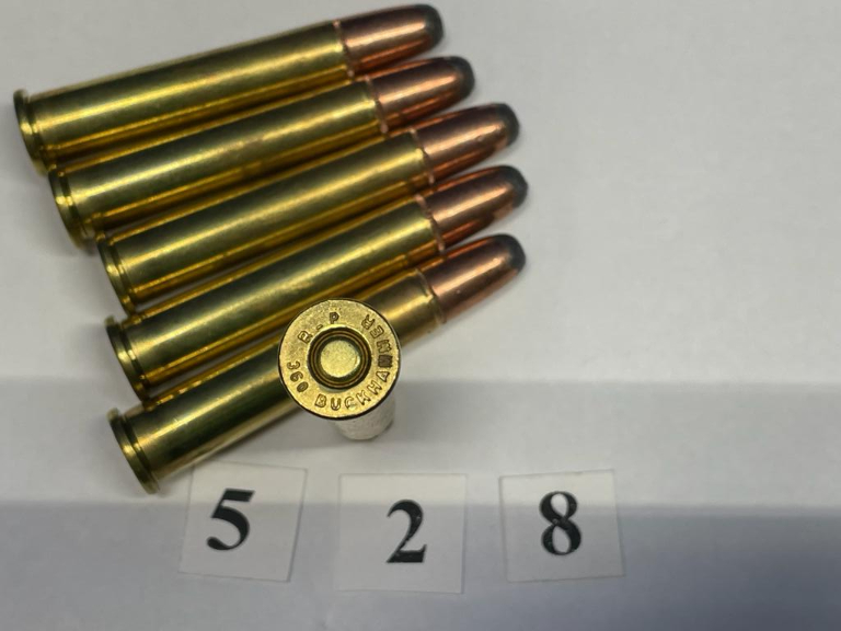 360 Buckhammer Ammo .60 Caliber Ball 17315481 - GunAuction.com