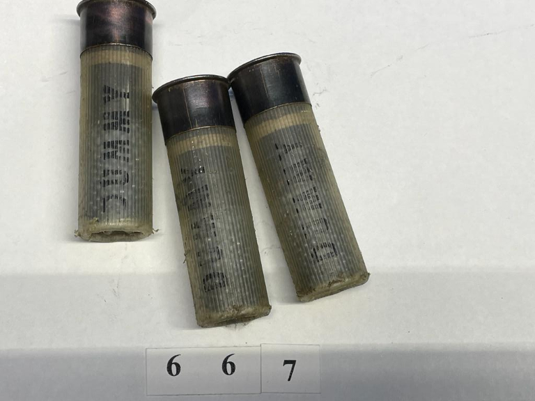 16 gauge Old Store Dummies Single Shell 17315488 - GunAuction.com