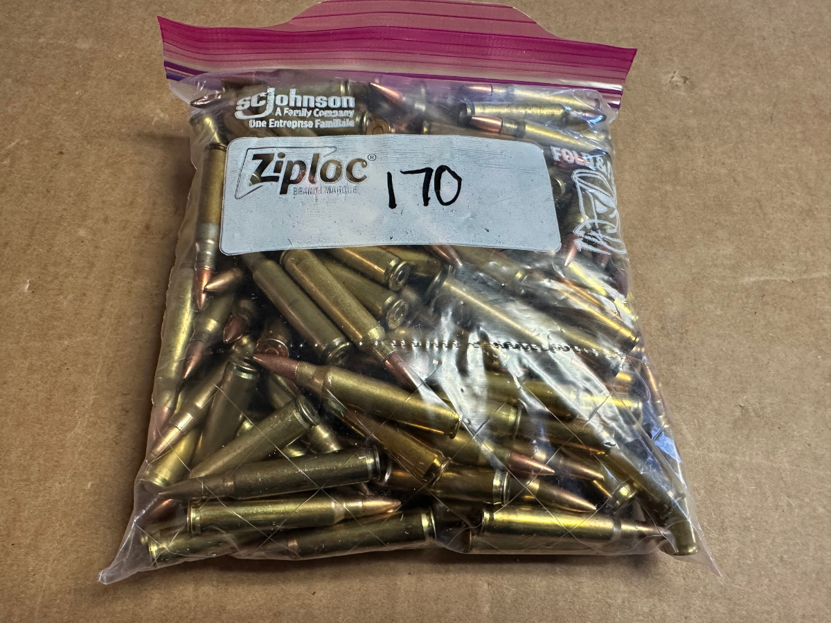 170 ROUNDS BRASS 223 REMINGTON AMMUNITION BULK AMMO AS IS FINAL SALE ...