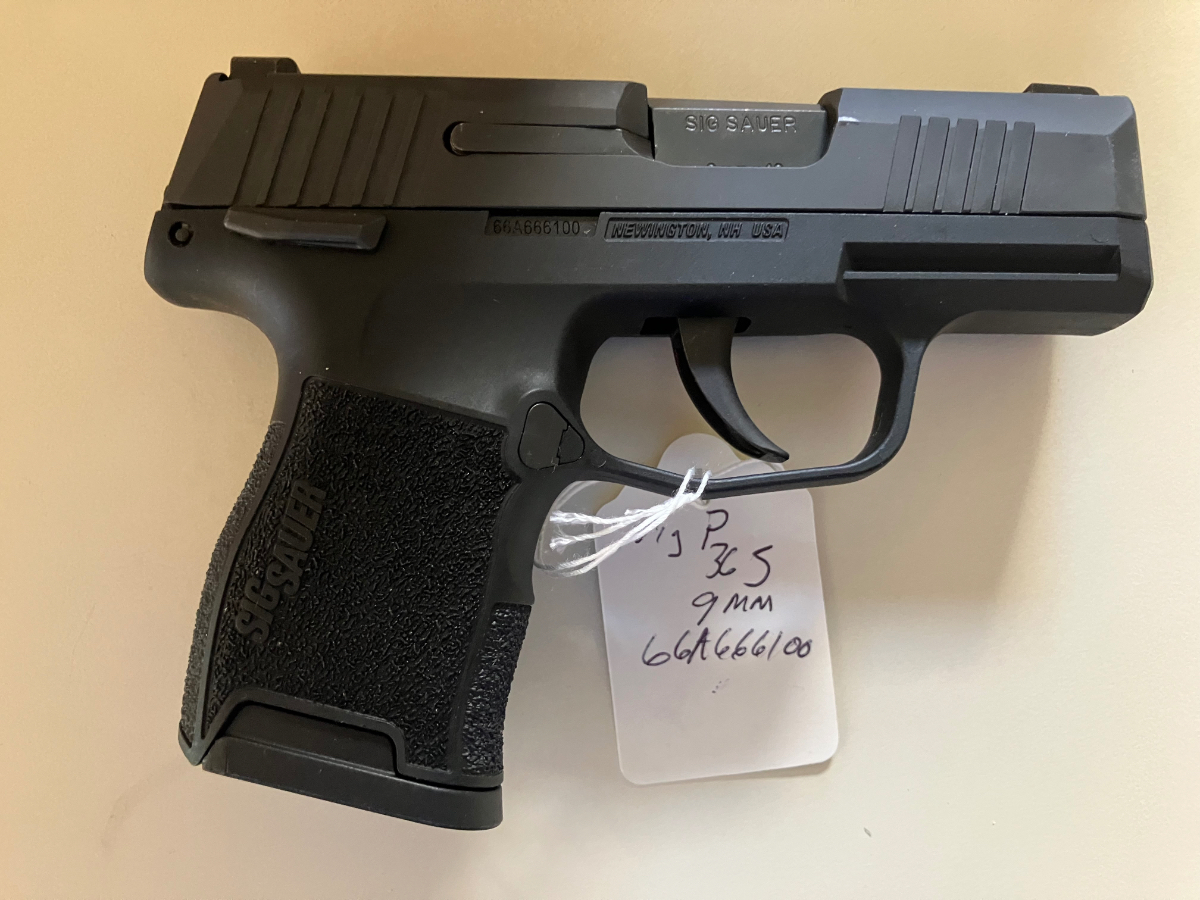 SIG Sauer P365 Compact Carry Pistol 10 round 9MM 9mm Luger 17347400 ...