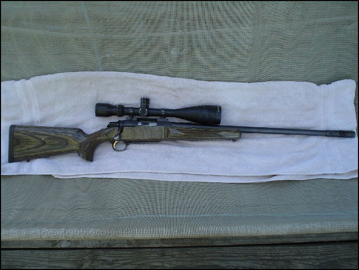 Browning Arms Co. Eclipse Varmint Target .223 W/ Boss & Target Scope ...