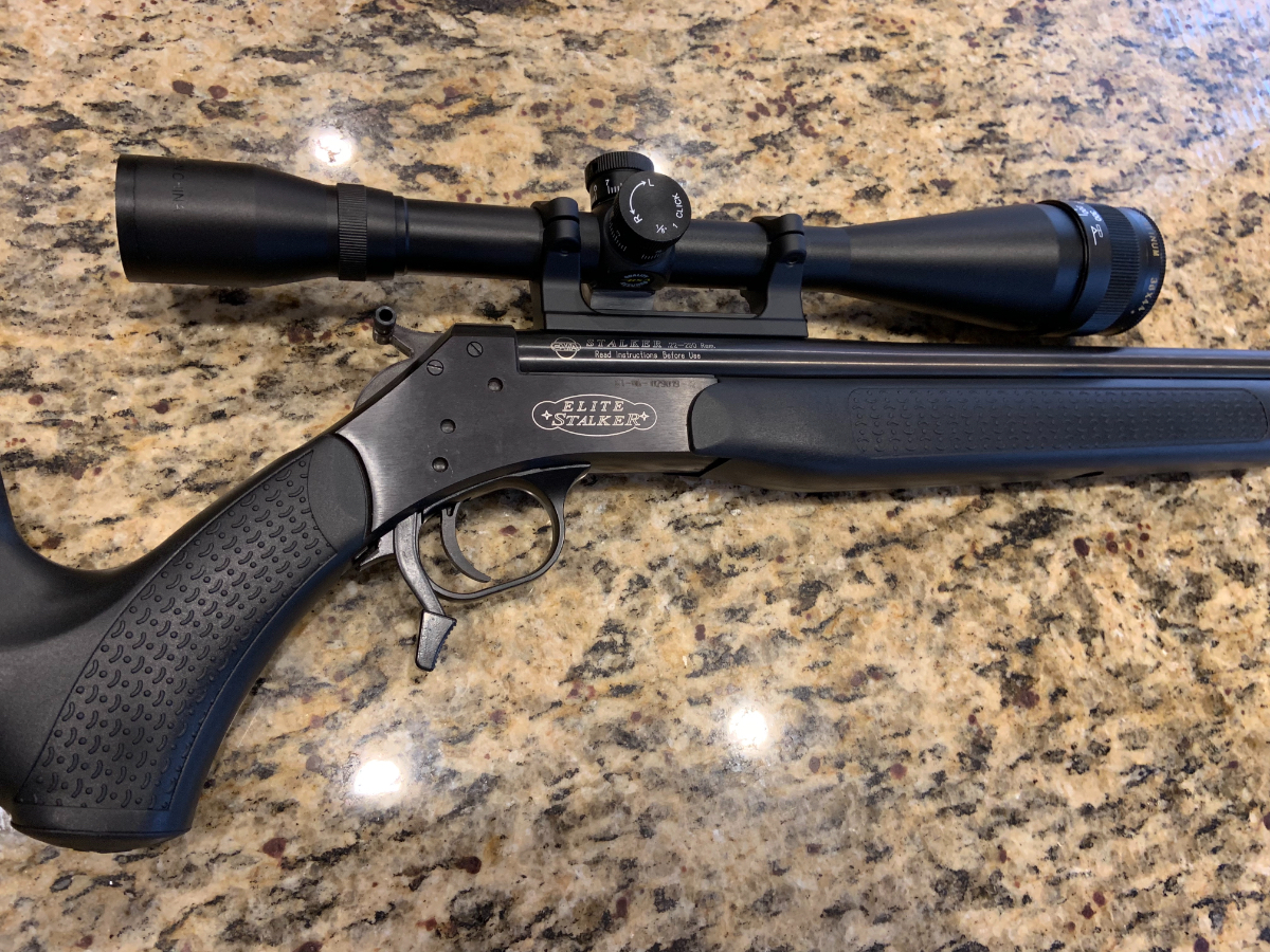 Cva Elite Stalker With Bsa 36x44 Scope .22 Lr For Sale at GunAuction ...